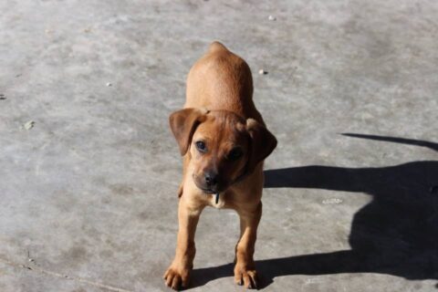 lou | Morgan County Library